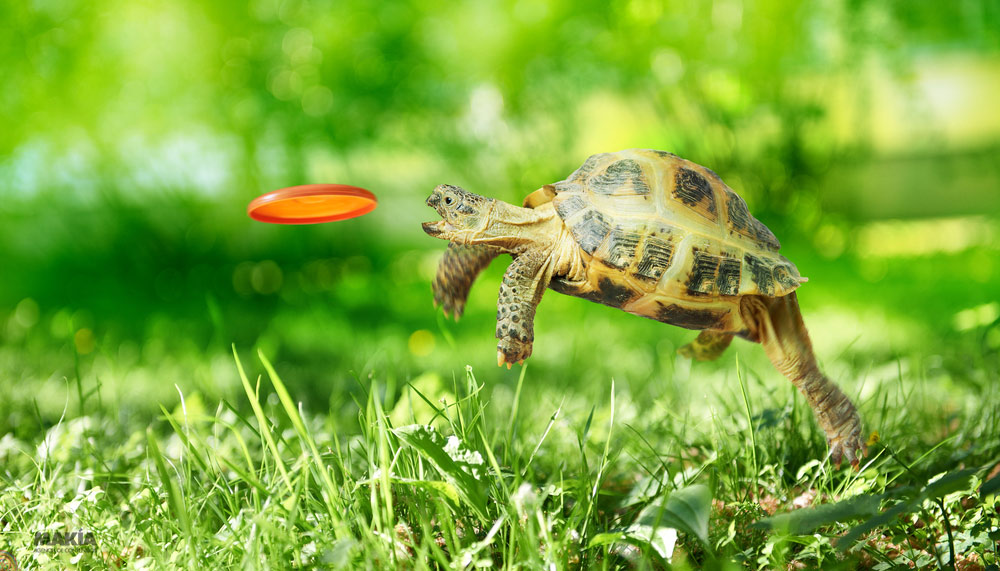 9 cosas que disfrutarías más si te unes al Movimiento Lento - Makía